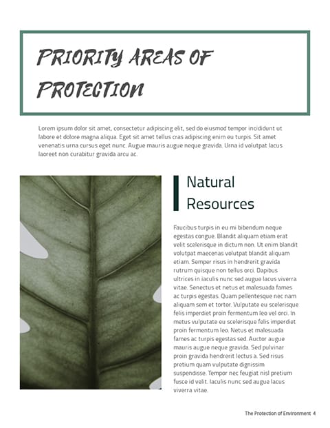 Protection Strategy for Environment Ebook Template | Visme
