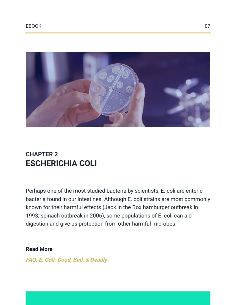Academic Ebook Template | Visme