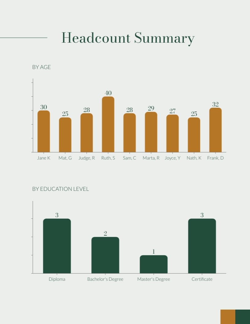 Annual HR Report Template | Visme