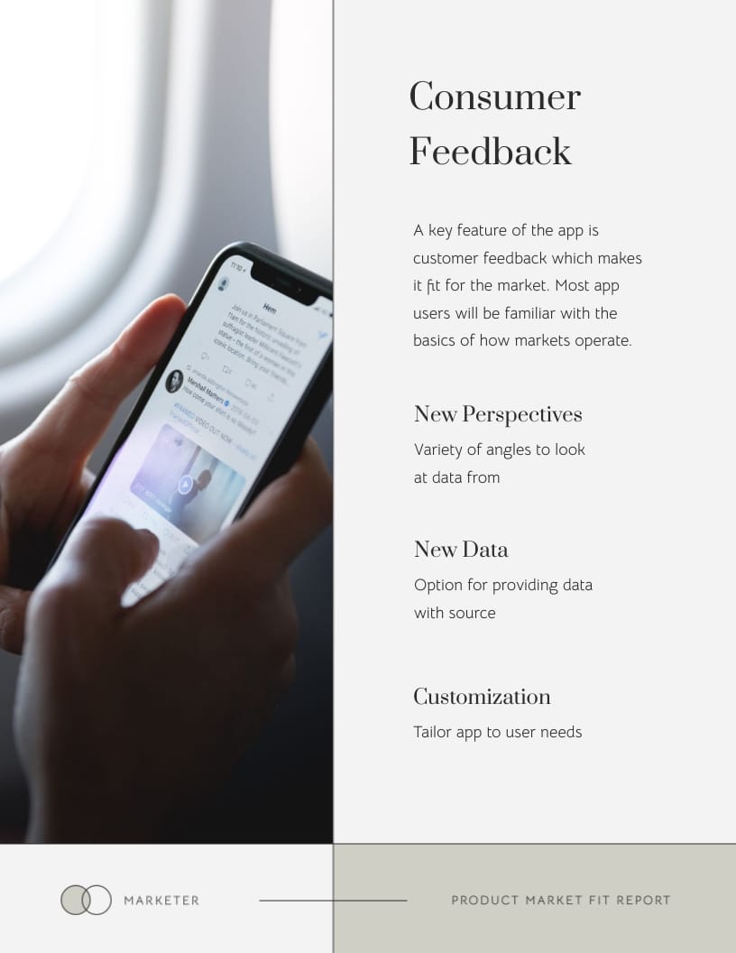 App Product Market Fit Report Template | Visme