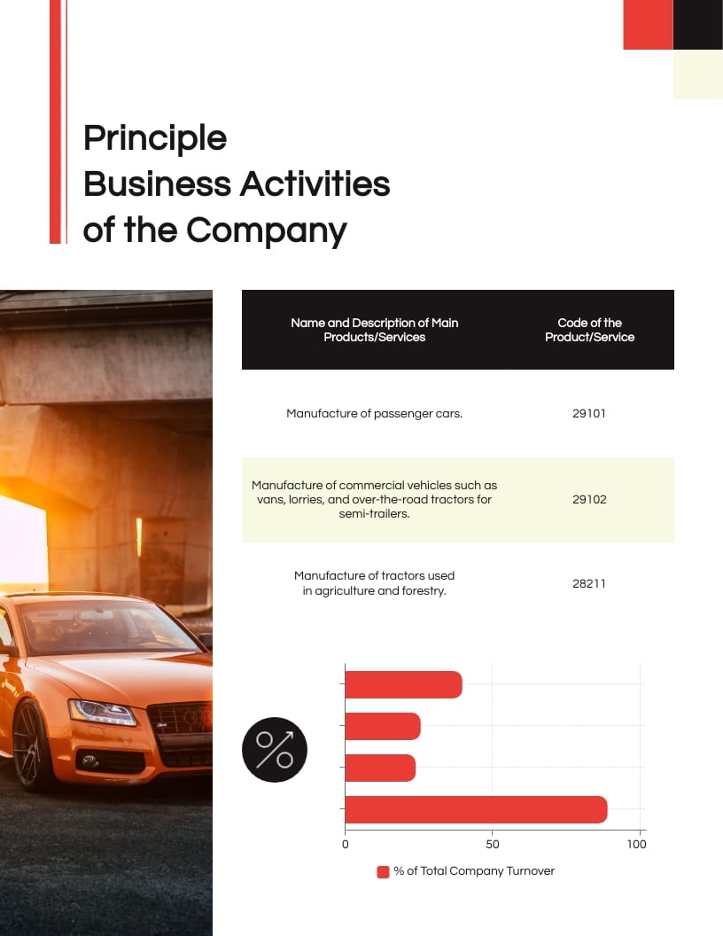 Automotive Company Board Report Template | Visme