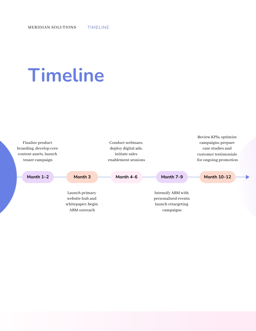B2B Product Launch Marketing Plan Template | Visme