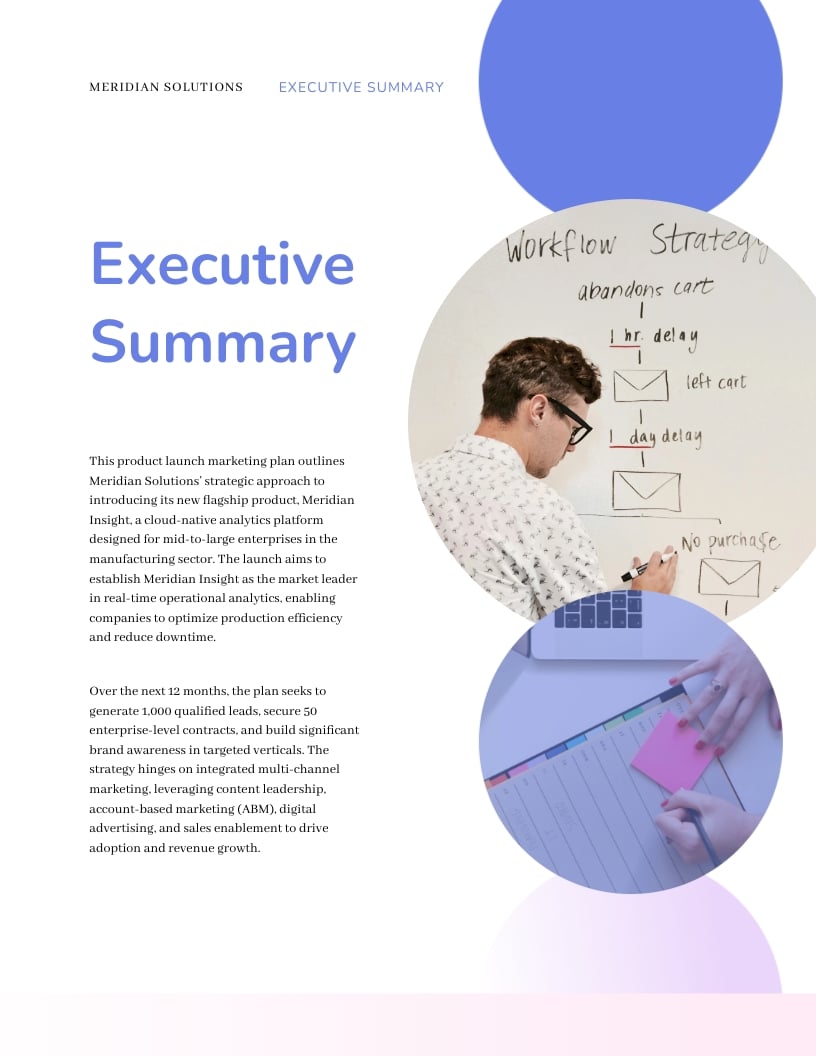 B2B Product Launch Marketing Plan Template | Visme