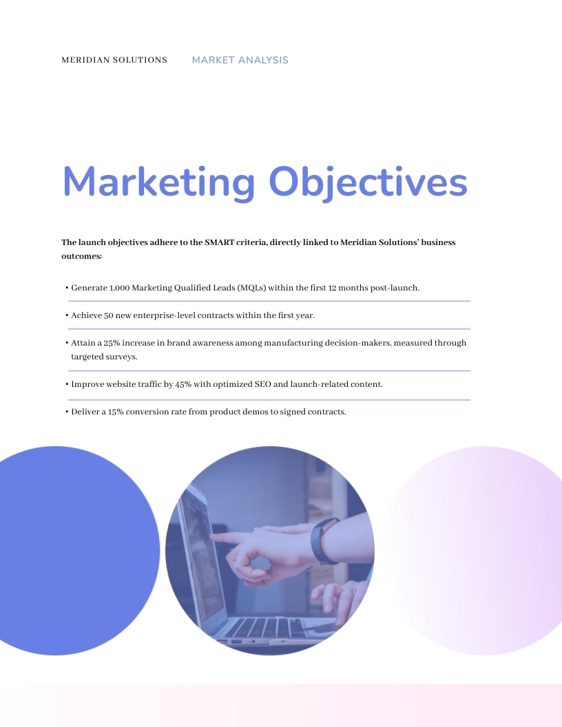 B2B Product Launch Marketing Plan Template | Visme