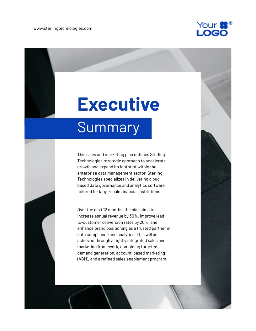 B2B Sales Marketing Plan Template | Visme