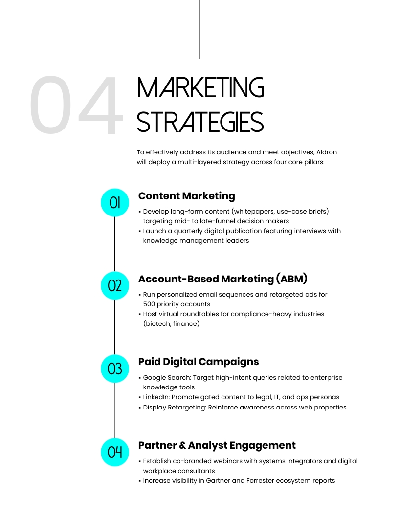 B2B Strategic Marketing Plan Template | Visme