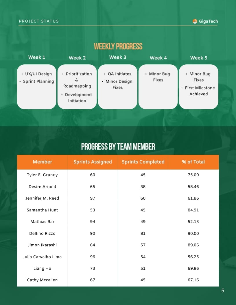 B2C Project Progress Report Template | Visme
