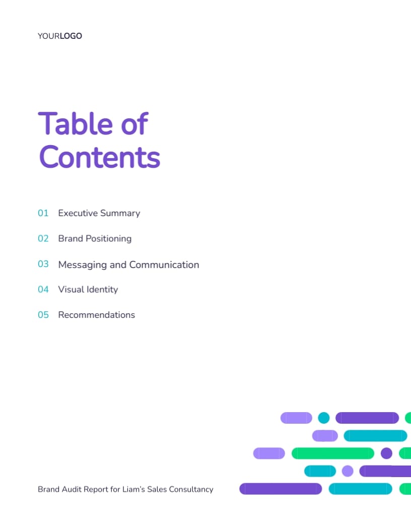 Brand Audit Report Template | Visme