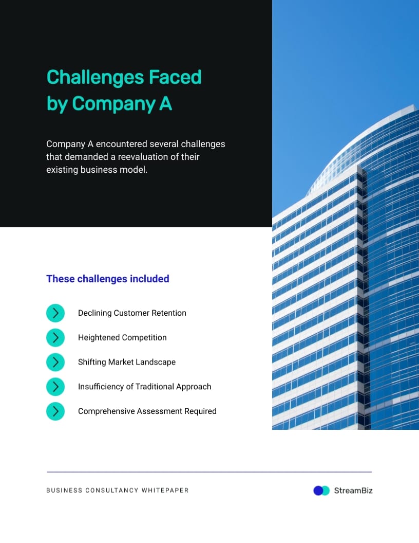 Business Consultancy Whitepaper Template | Visme