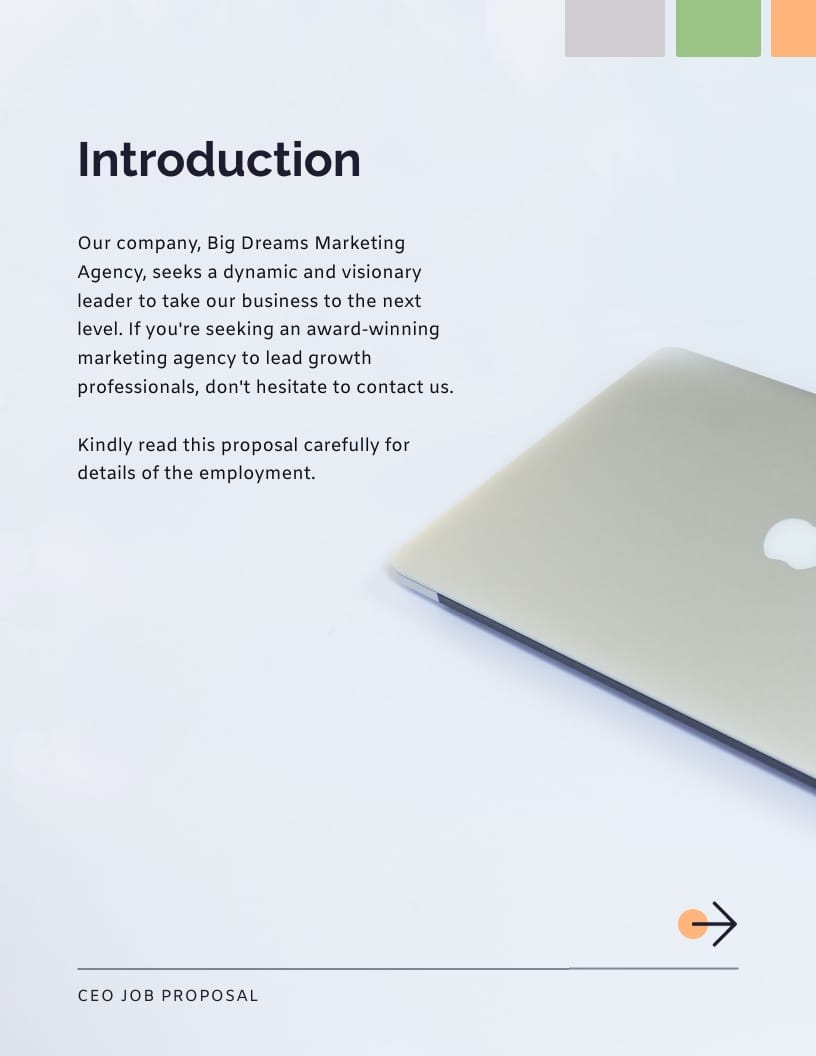 Ceo Job Proposal Template | Visme