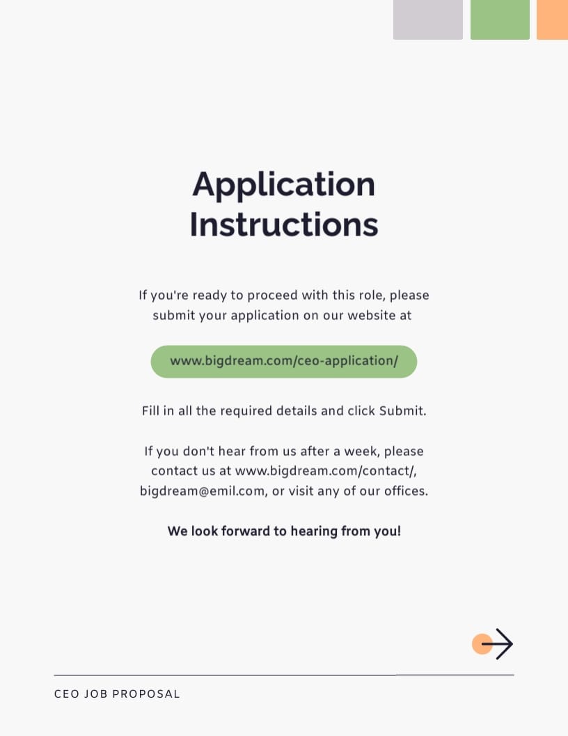 CEO Job Proposal Template | Visme
