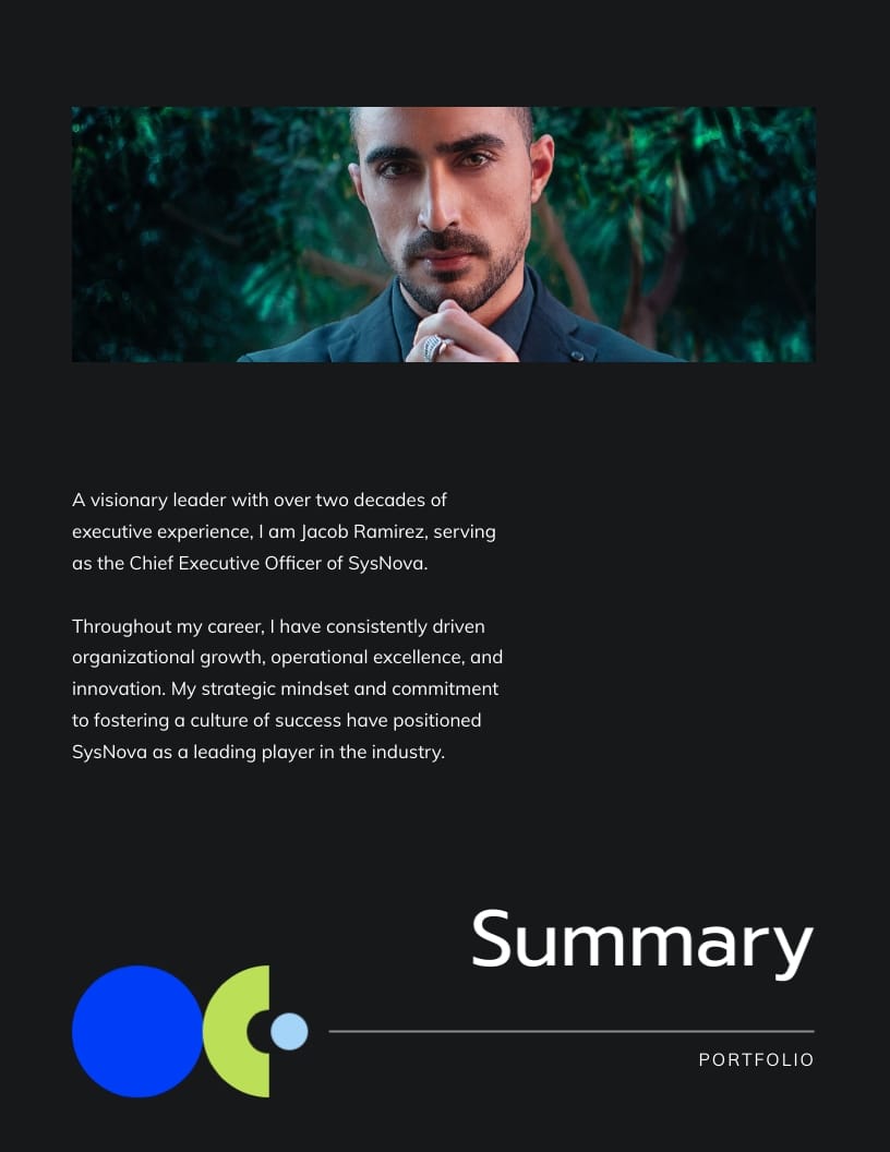 CEO Portfolio Template | Visme