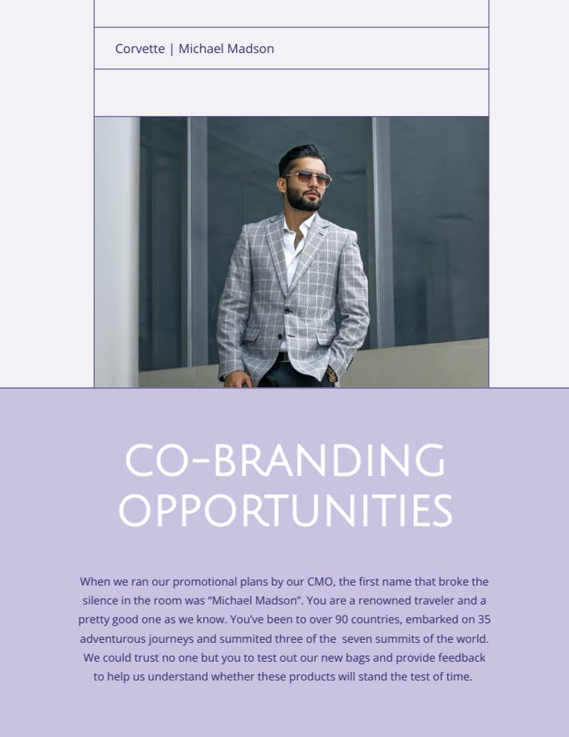 Celebrity Brand Collaboration Proposal Template | Visme