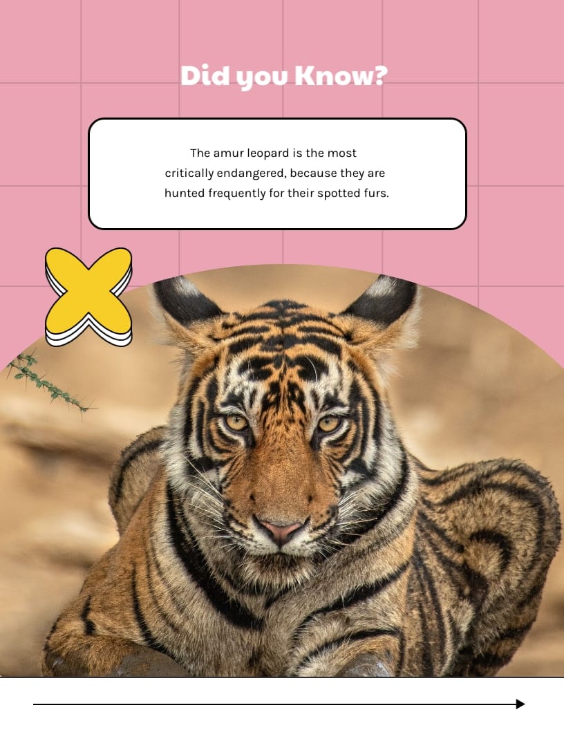 Children Educational Ebook Template | Visme