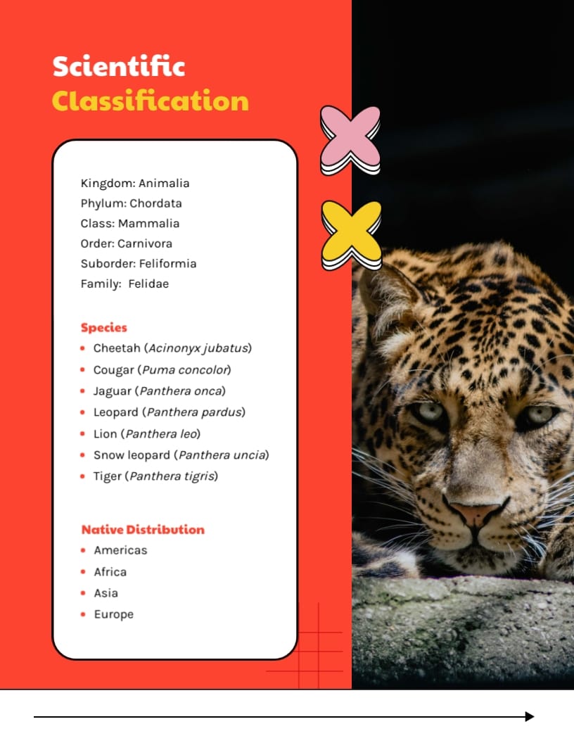 Children Educational Ebook Template | Visme