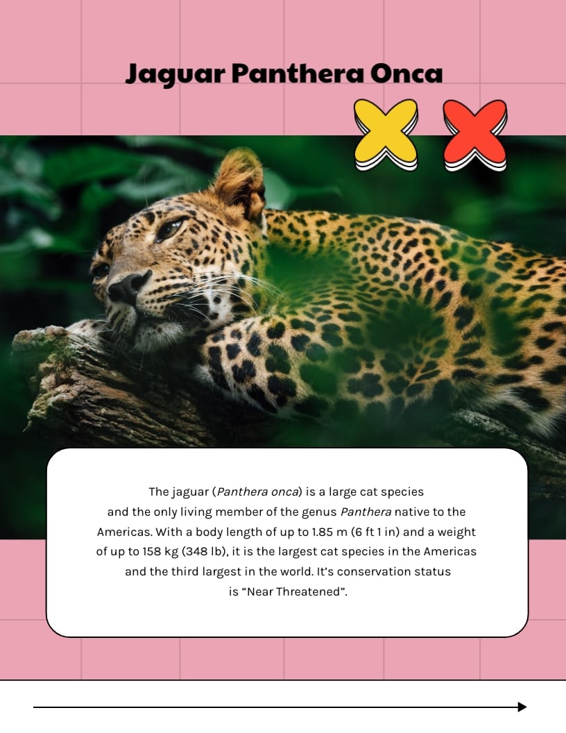 Children Educational Ebook Template | Visme