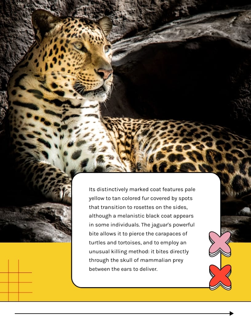 Children Educational Ebook Template | Visme