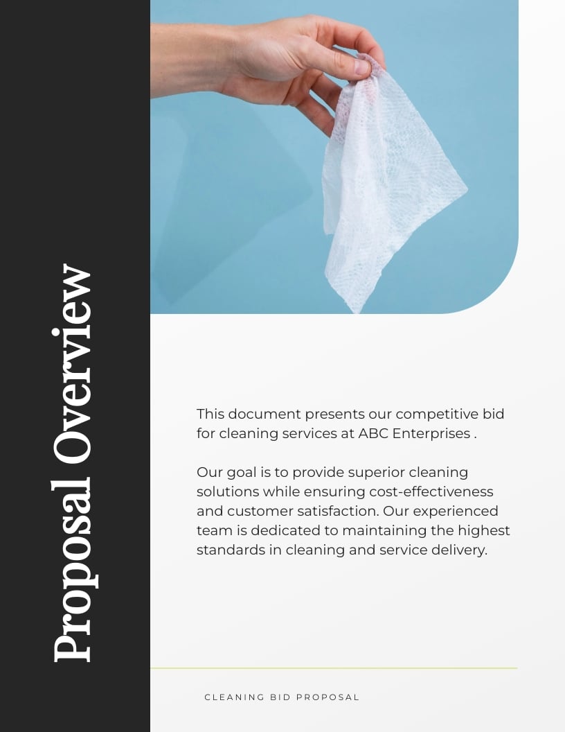 Cleaning Bid Proposal Template | Visme