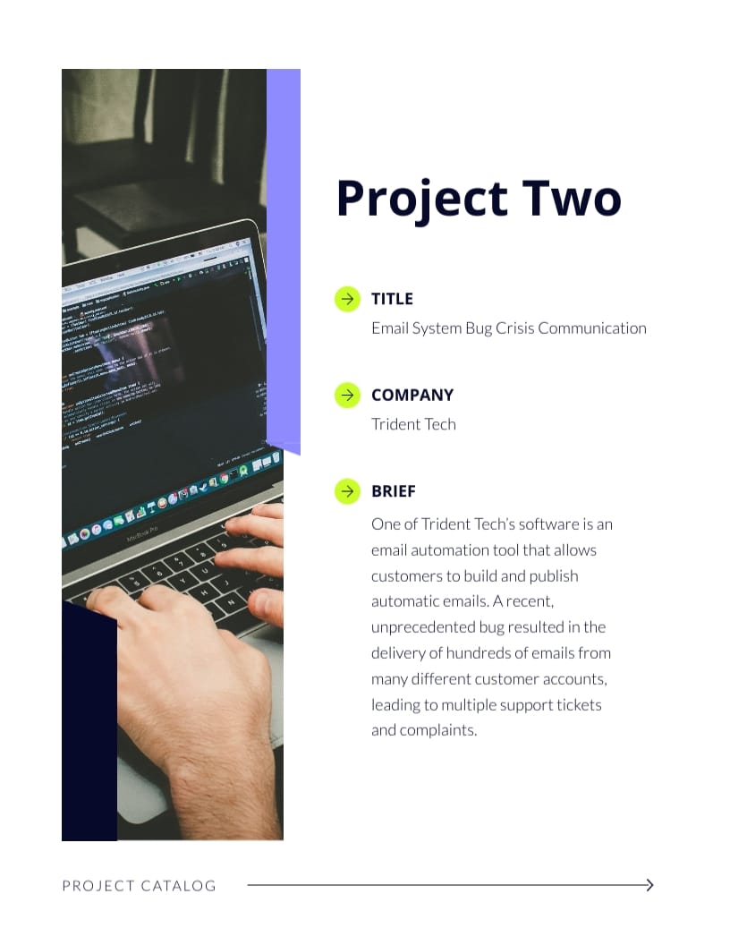 Company Project Catalog Template | Visme