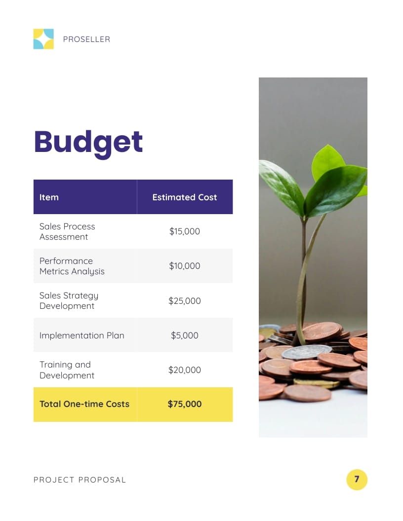 Consulting Project Proposal Template | Visme