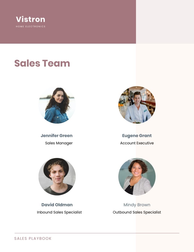 Consumer Sales Playbook Template | Visme