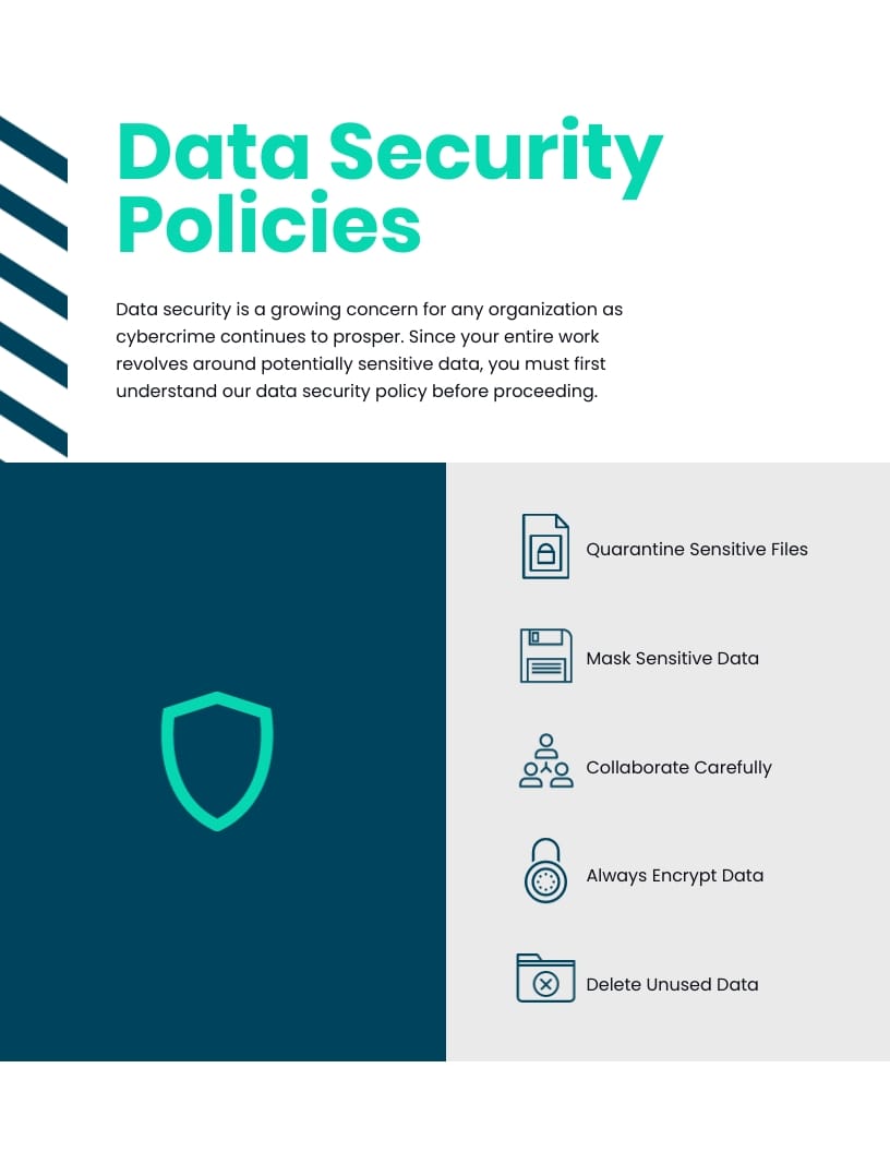 Data Scientist Training Manual Template | Visme