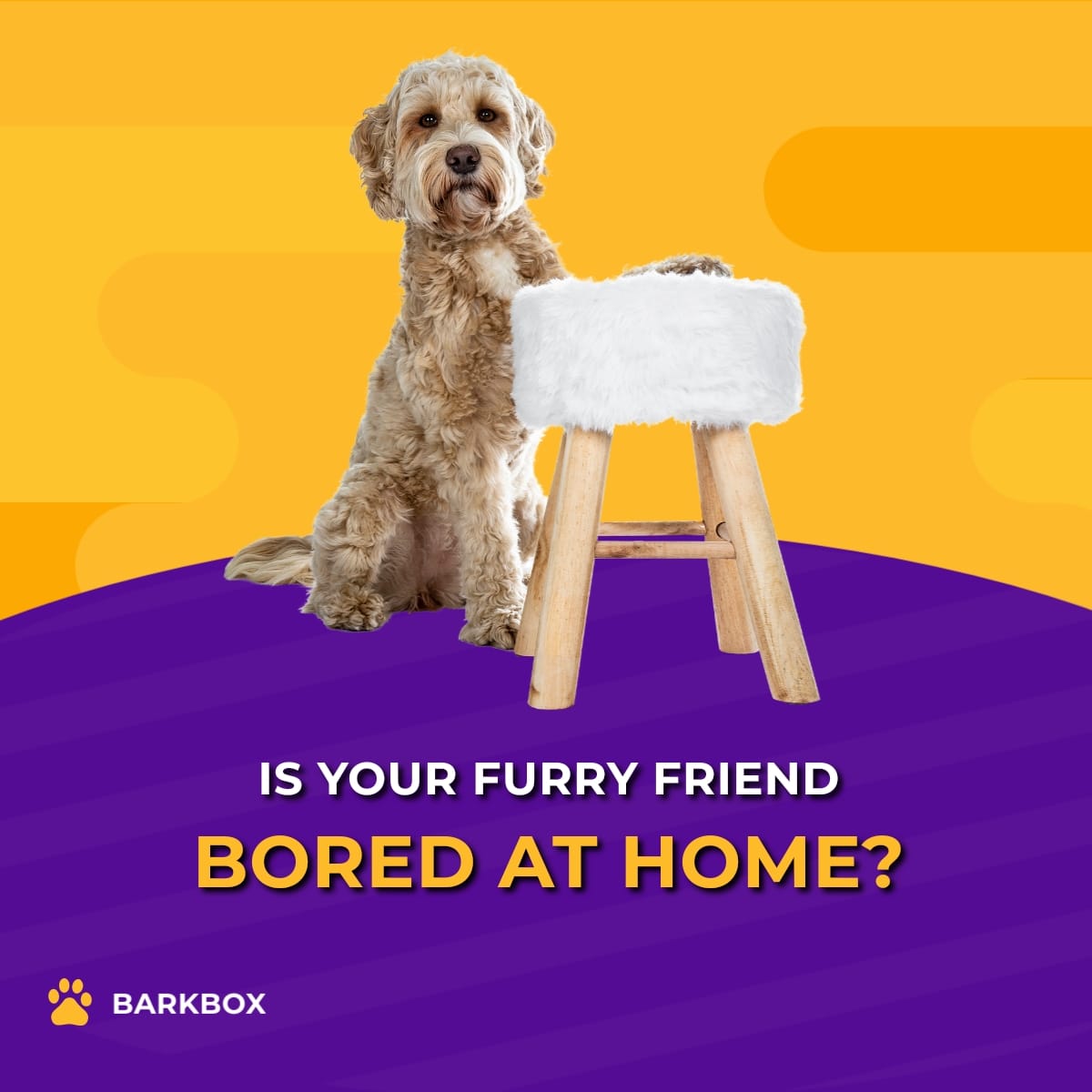 Dog Food Instagram Carousel Template | Visme