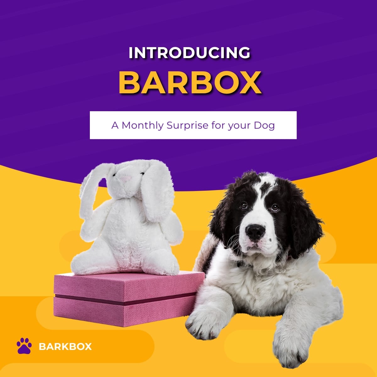 Dog Food Instagram Carousel Template | Visme