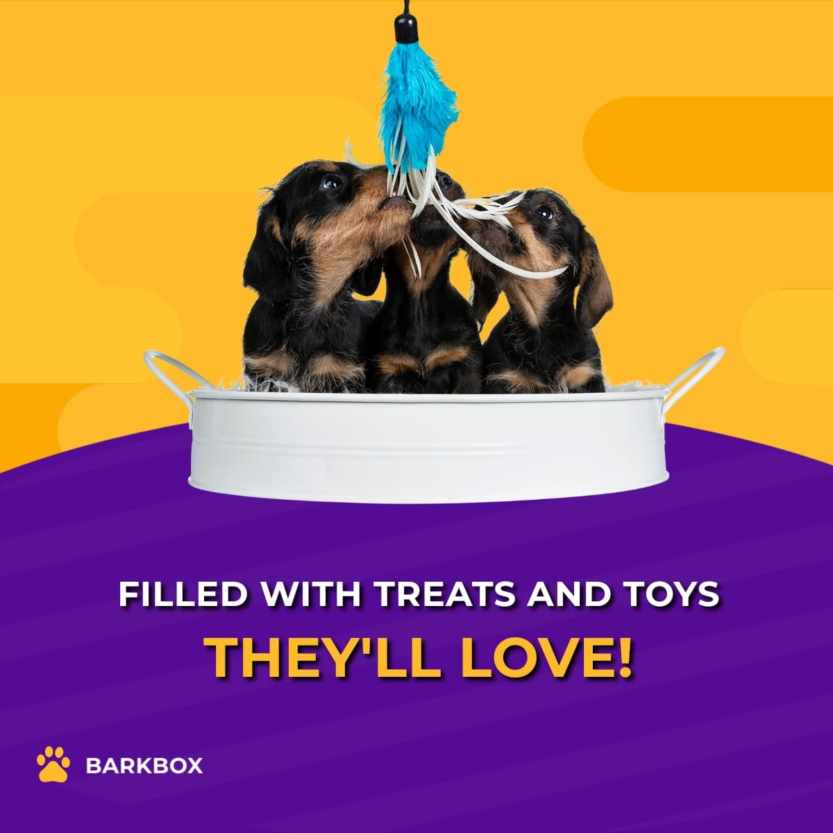 Dog Food Instagram Carousel Template | Visme