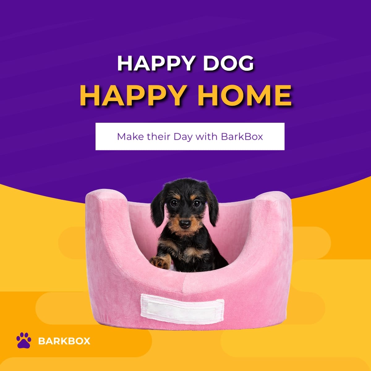 Dog Food Instagram Carousel Template | Visme