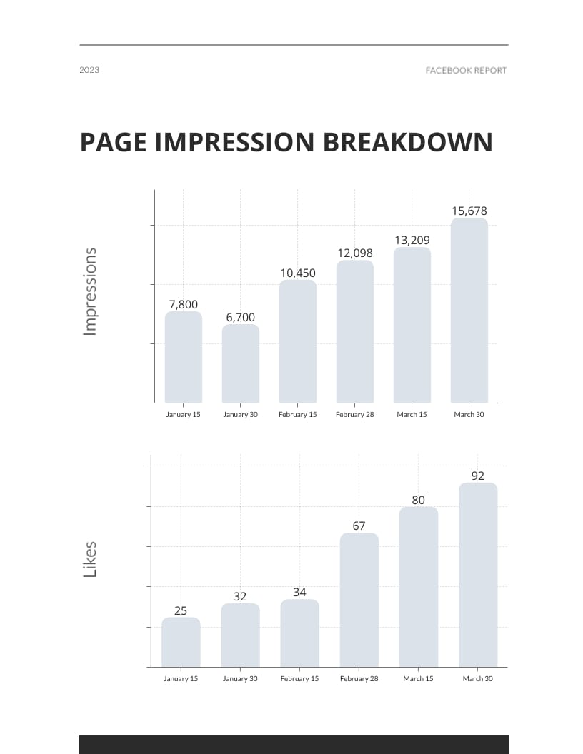 Ecommerce Facebook Report Template | Visme