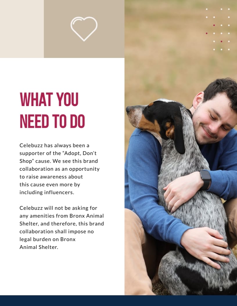 Entertainment Brand Collaboration Proposal Template | Visme