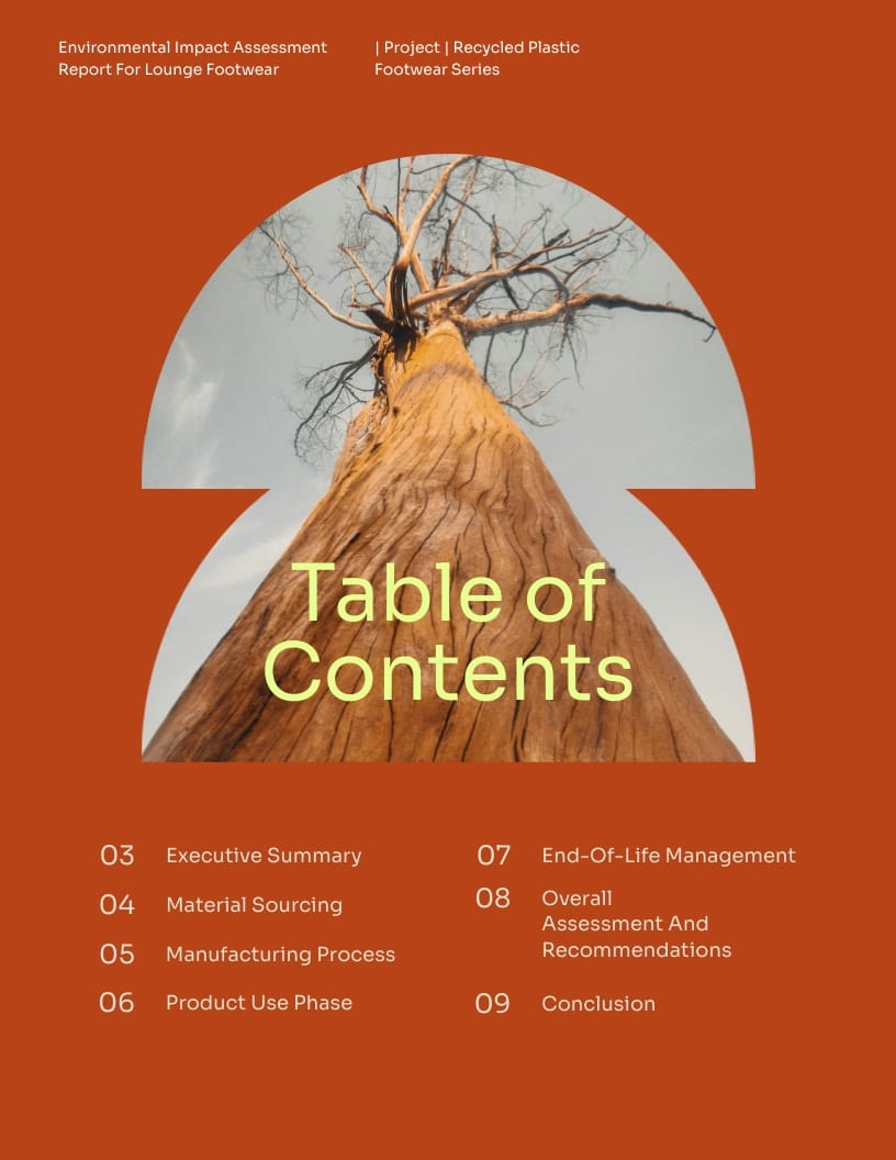 Environmental Impact Report Template | Visme