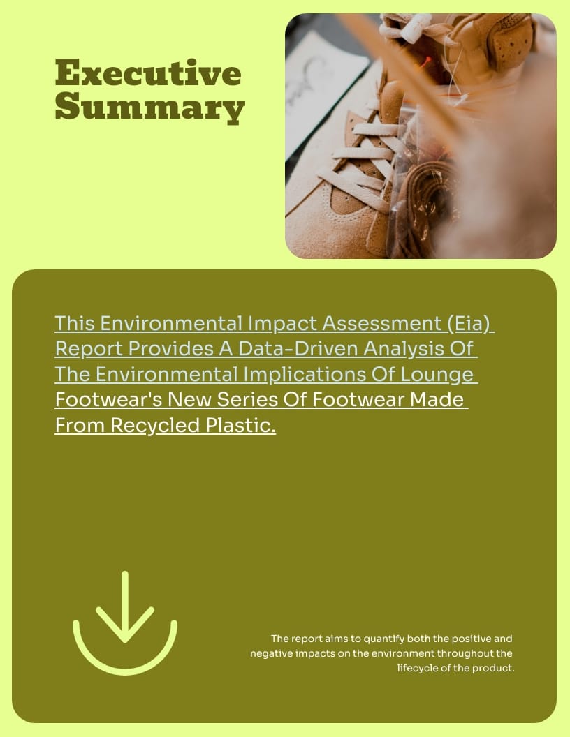 Environmental Impact Report Template | Visme