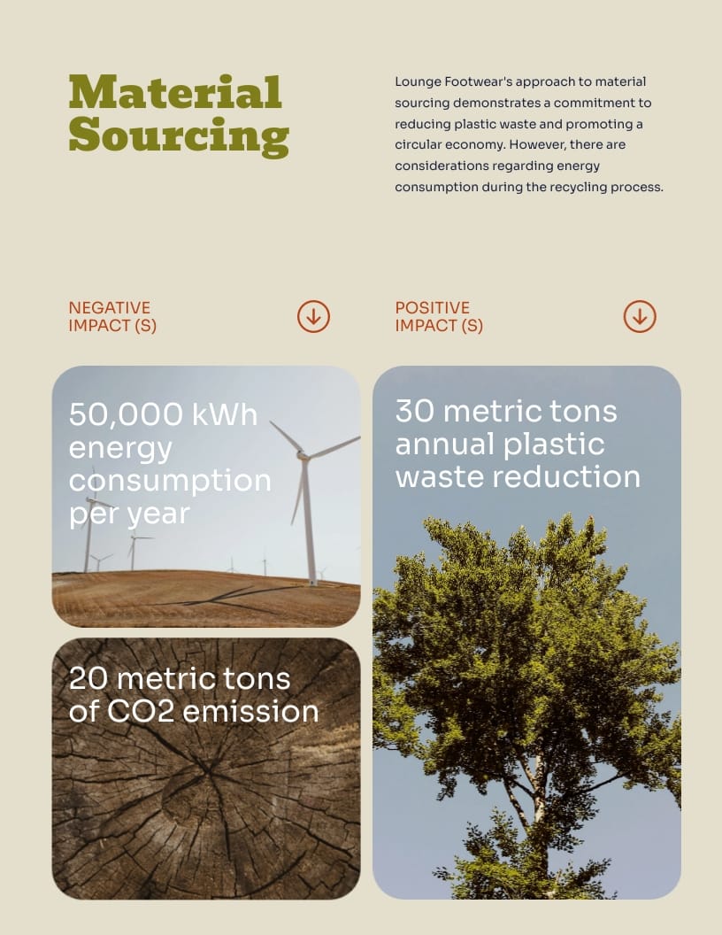 Environmental Impact Report Template | Visme