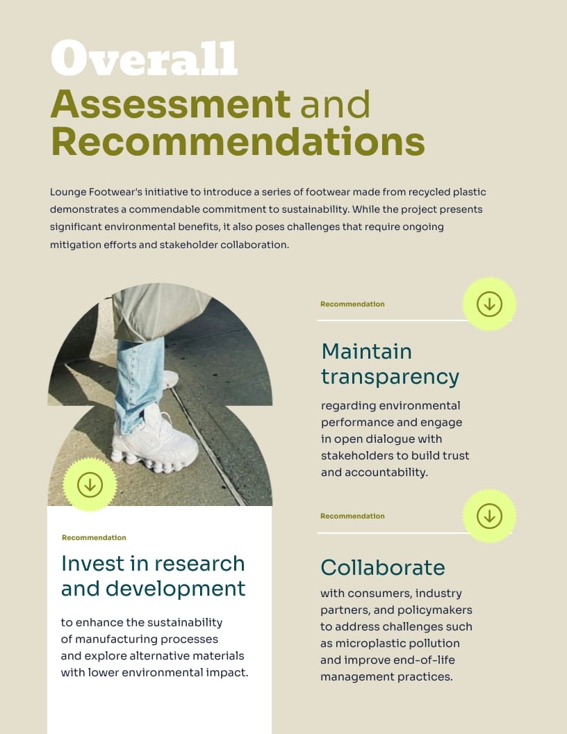 Environmental Impact Report Template | Visme