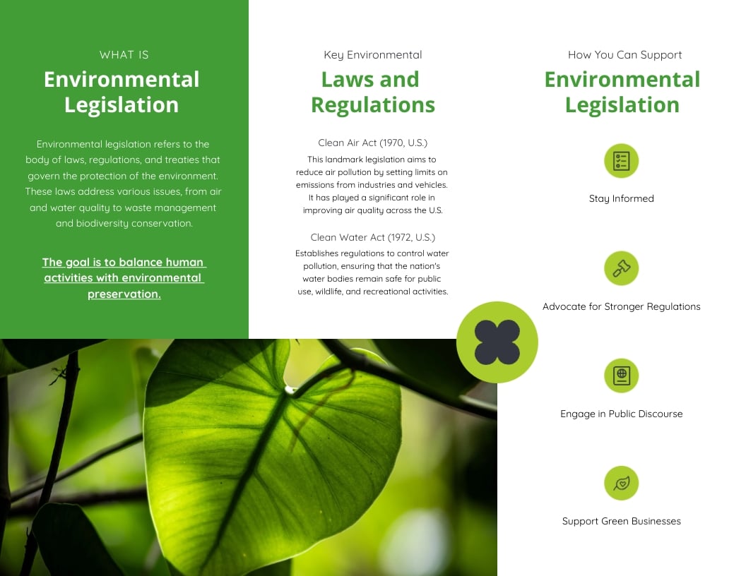 Environmental Legislation Informational Brochure Template | Visme