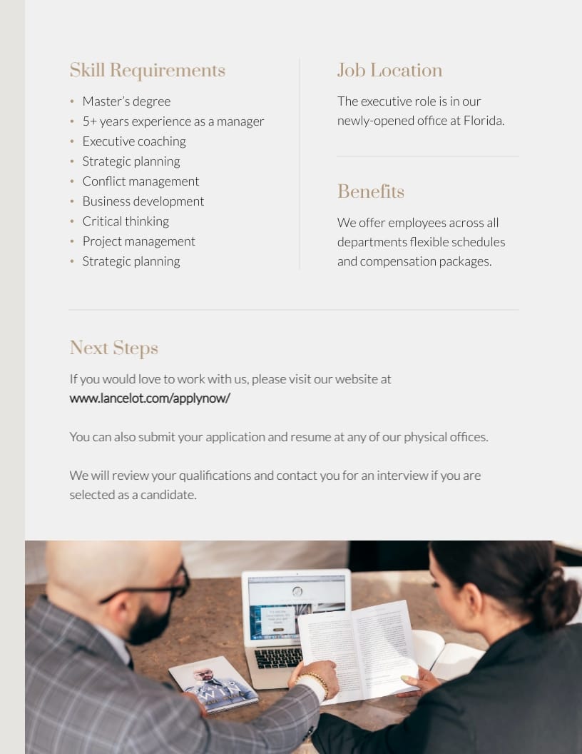 Executive Job Proposal Template | Visme