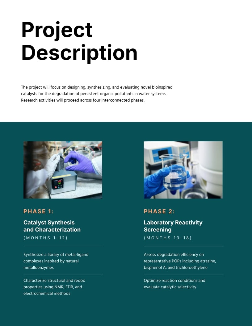 Executive Summary Grant Proposal Template | Visme