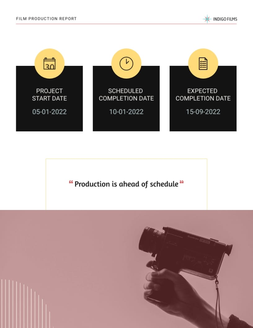 Film Production Report 2 Template | Visme