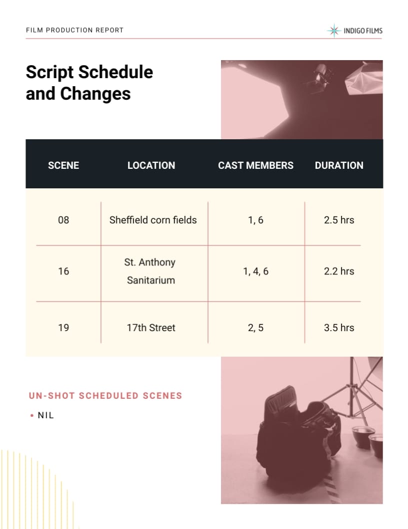 Film Production Report 2 Template | Visme