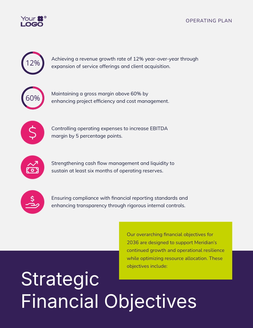 Financial Annual Operating Plan Template | Visme