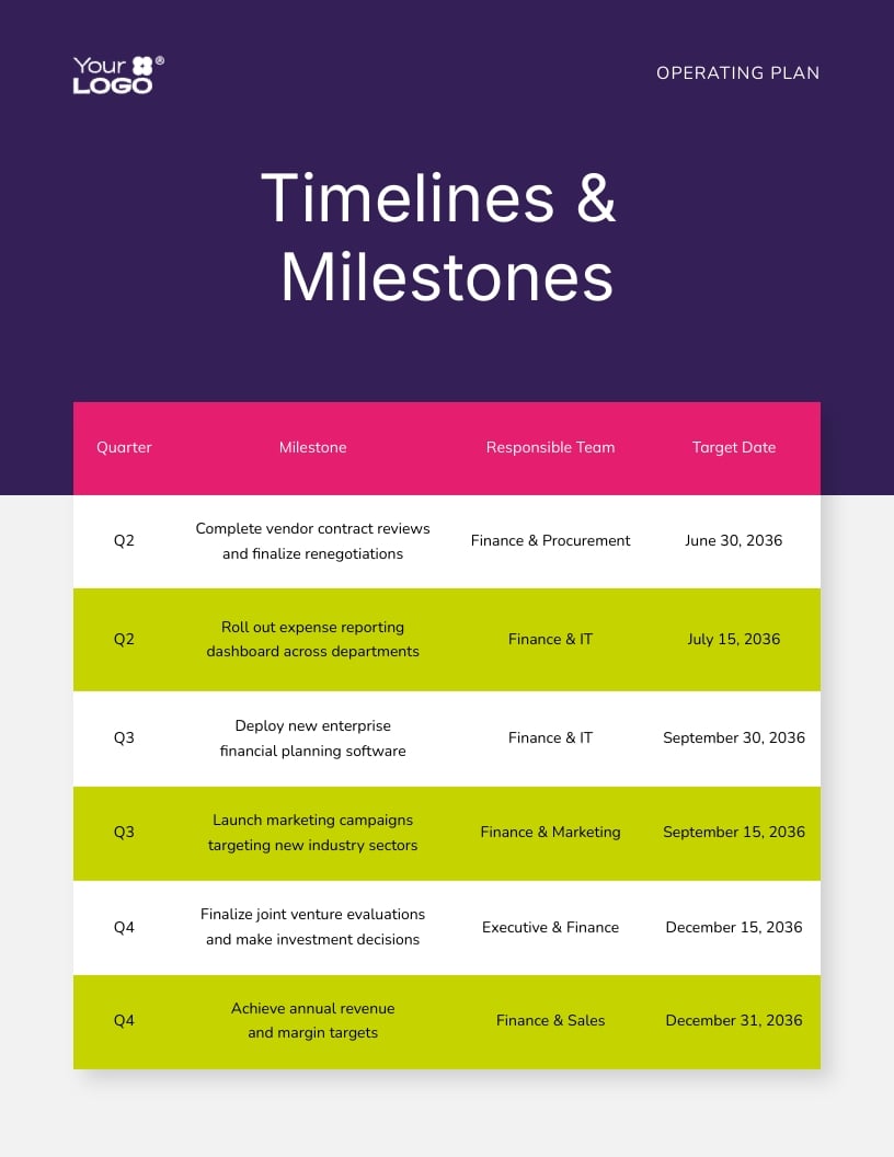 Financial Annual Operating Plan Template | Visme