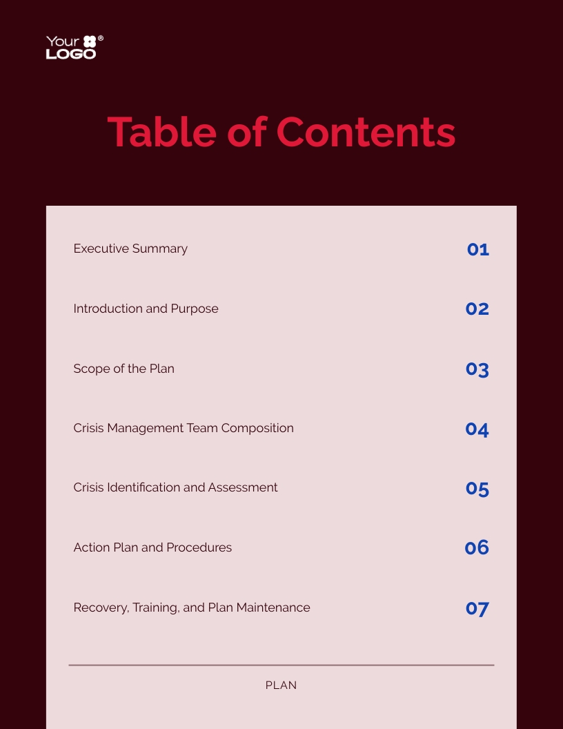 Financial Crisis Management Plan Template | Visme