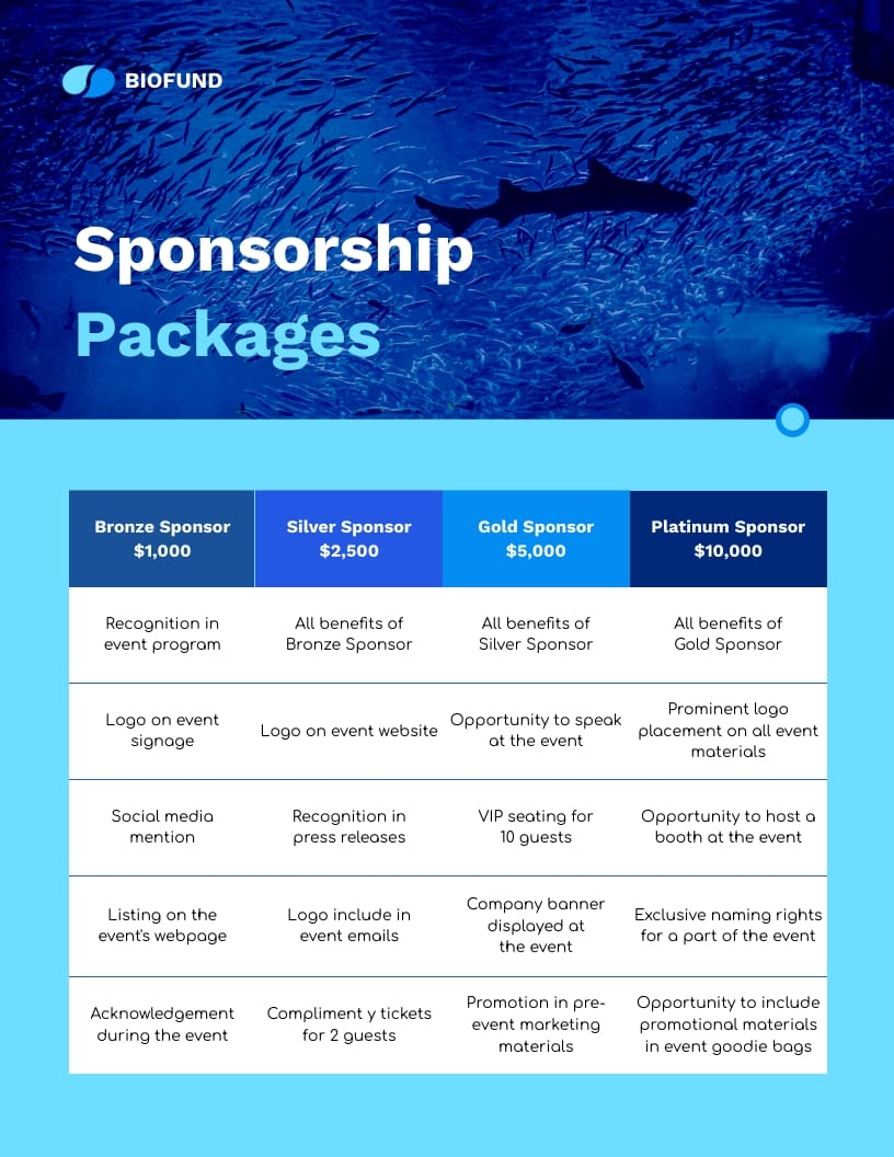 Gala Sponsorship Packages Plan Template | Visme