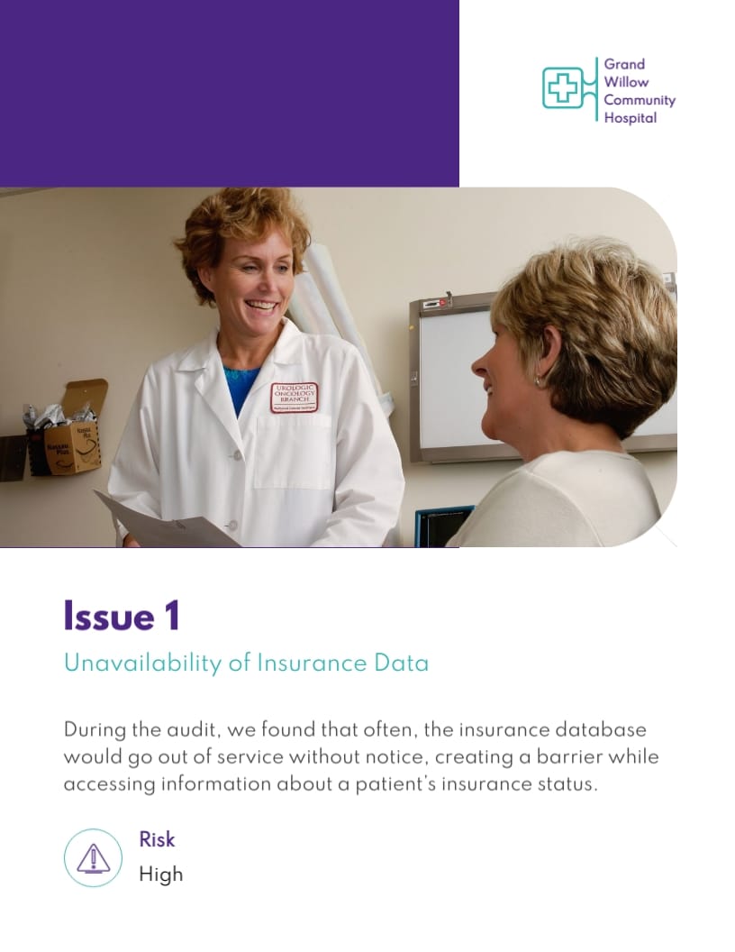 Healthcare Internal Audit Report Template | Visme