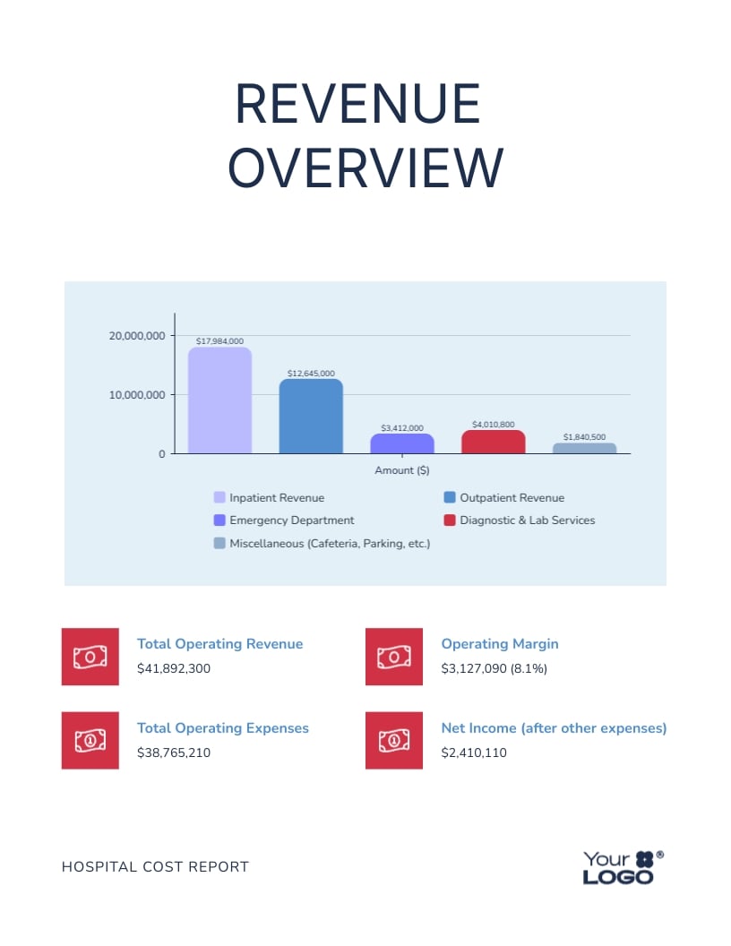 Hospital Cost Report Template | Visme