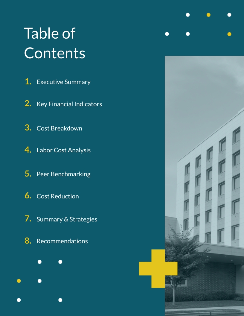 Hospital Provider Cost Report Template | Visme