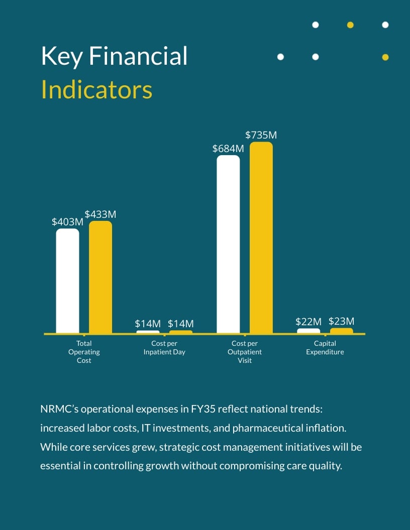 Hospital Provider Cost Report Template | Visme