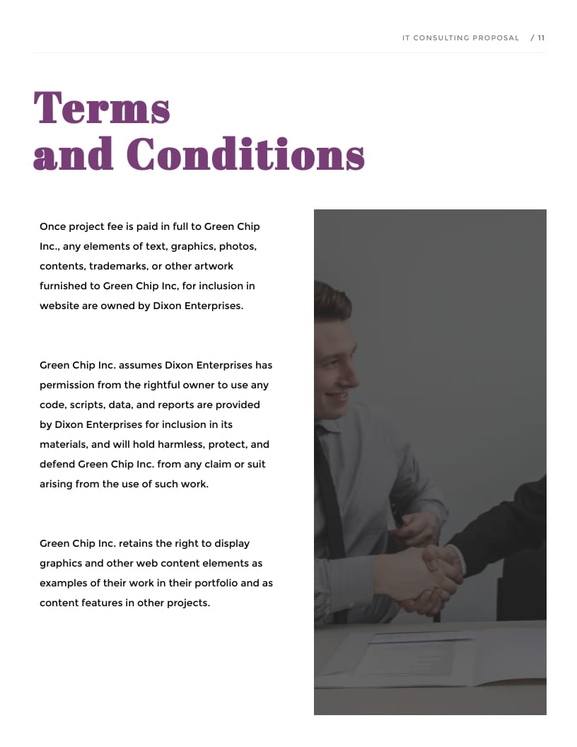 IT Consulting Proposal Template | Visme